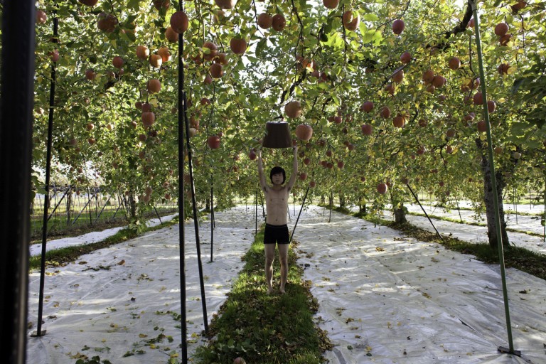 Works – Khvay Samnang